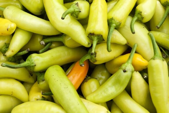 Smelling pepper: benefits and recipes - ThedietMD