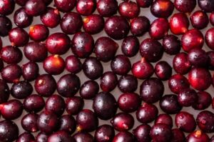 Corozo, tropical fruit of the corozo palm - ThedietMD