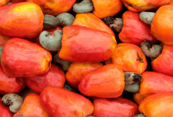 Cashew or Cashew: the healthy dry fruit - ThedietMD